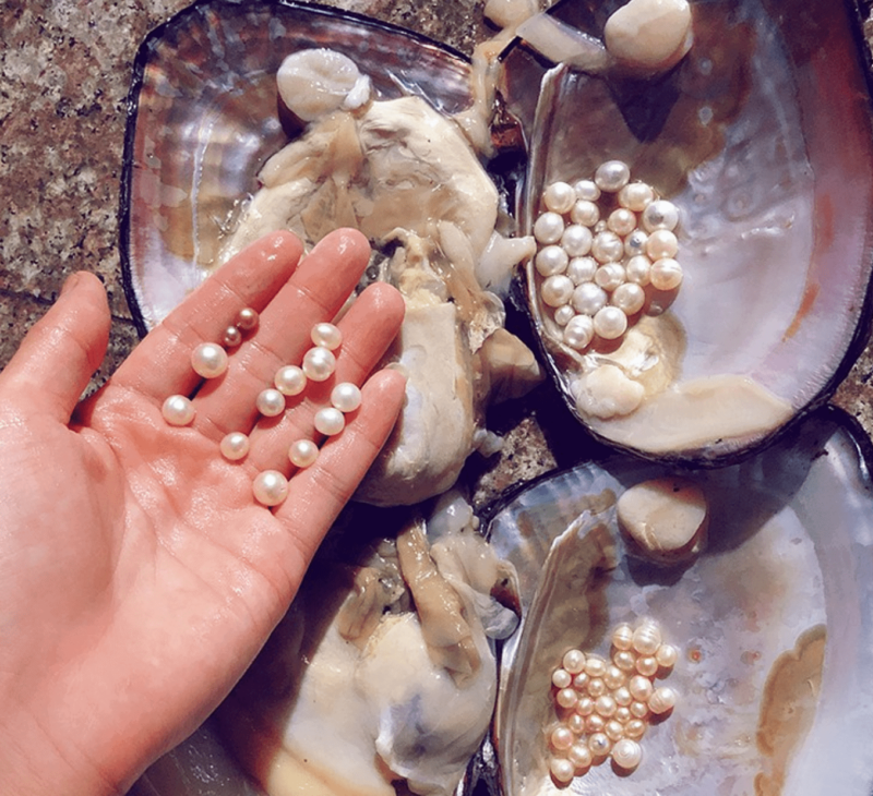 Wie entstehen Perlen?
