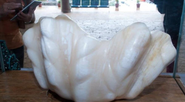 Perle von Puerto - Die größte Perle der Welt - Perlennation